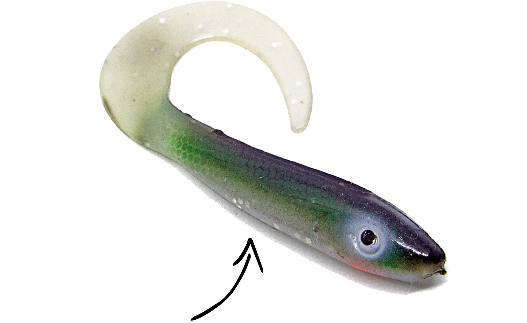 Fånga abborre på jigg - Svenskt Fiske