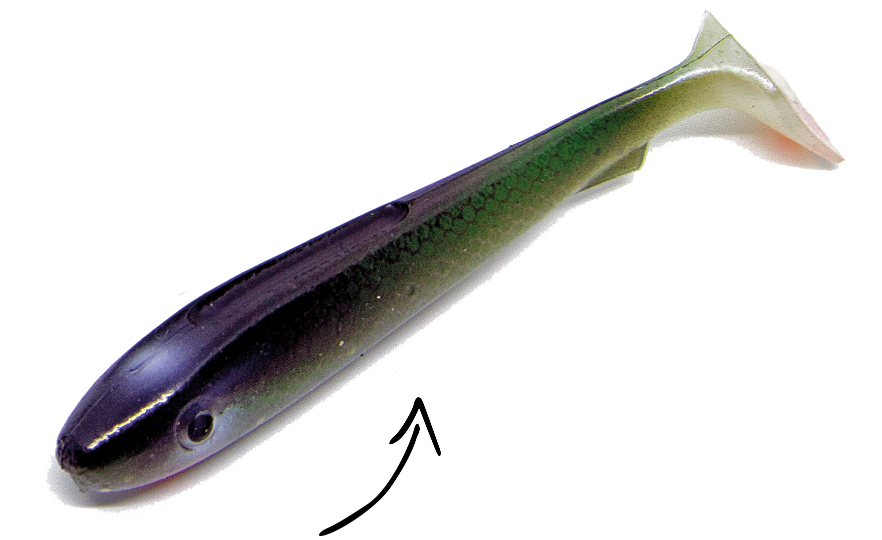 Fånga abborre på jigg - Svenskt Fiske