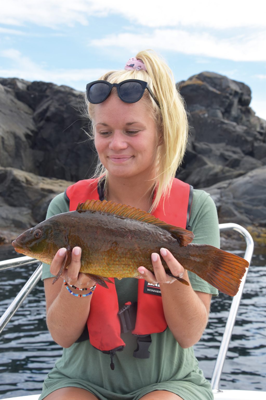 Fiska makrill och berggylta - Svenskt Fiske