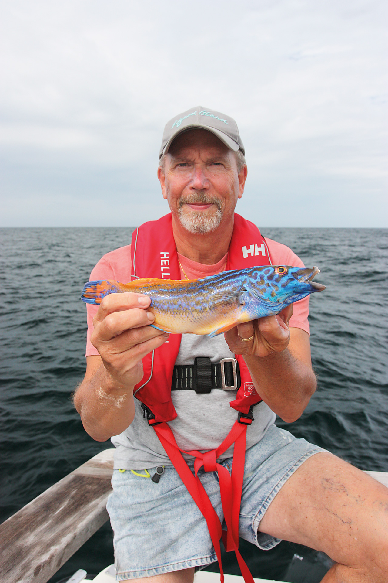 Fiska makrill och berggylta - Svenskt Fiske