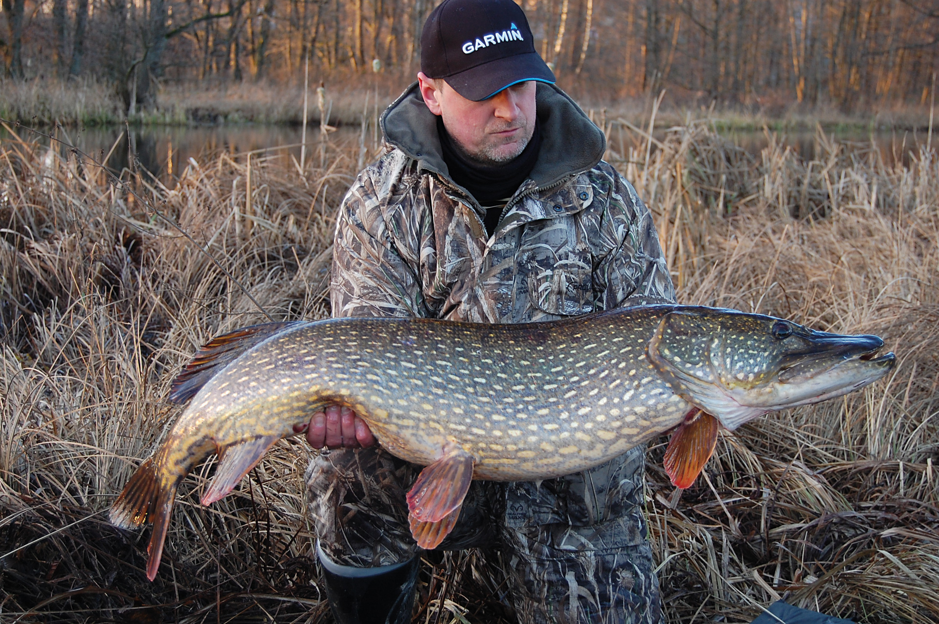 Fiska gädda på vintern - Svenskt Fiske