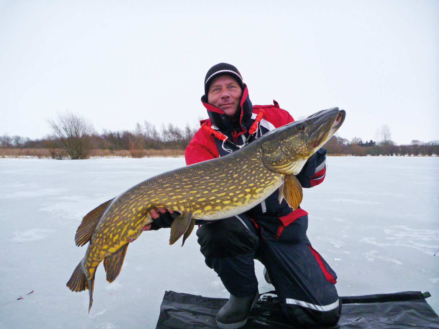 Fiska gädda på vintern - Svenskt Fiske