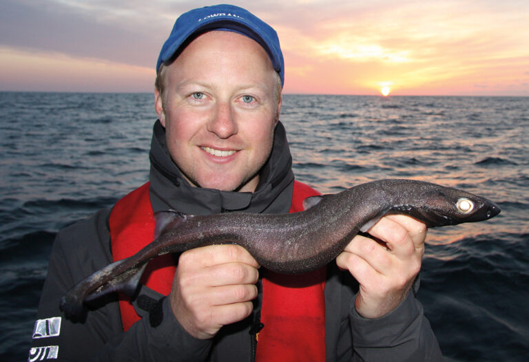 Giftiga fiskar i svenska vatten - Svenskt Fiske