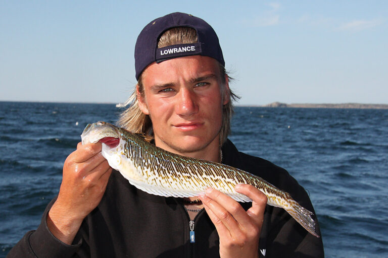 Giftiga fiskar i svenska vatten - Svenskt Fiske