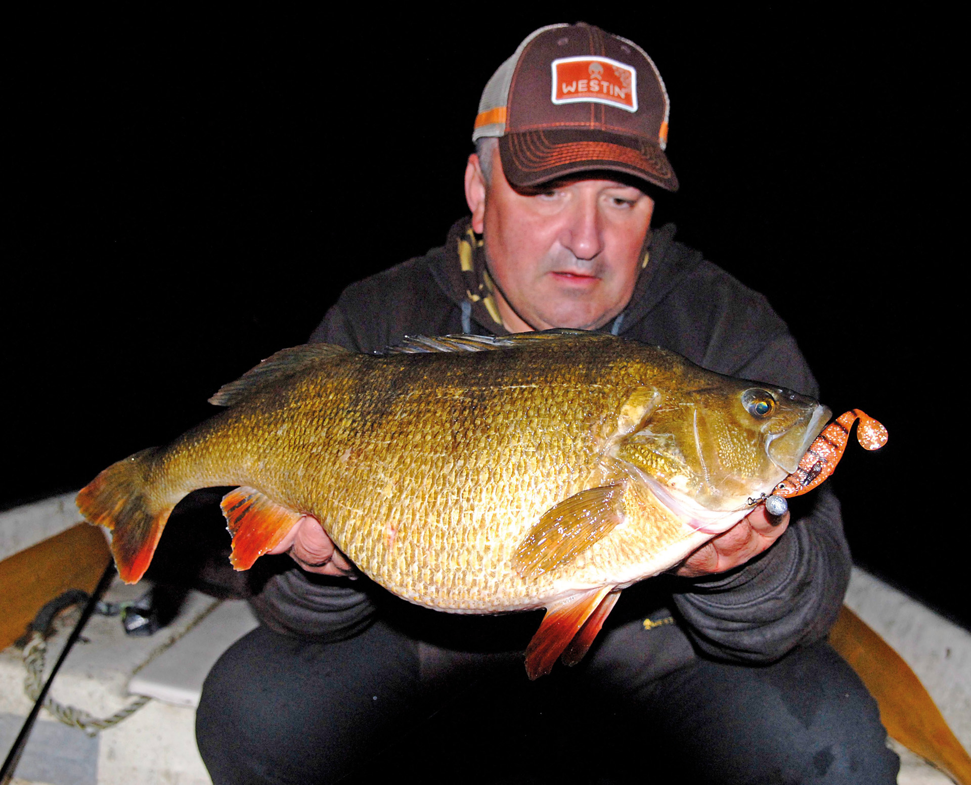 Lär dig om abborren - Svenskt Fiske