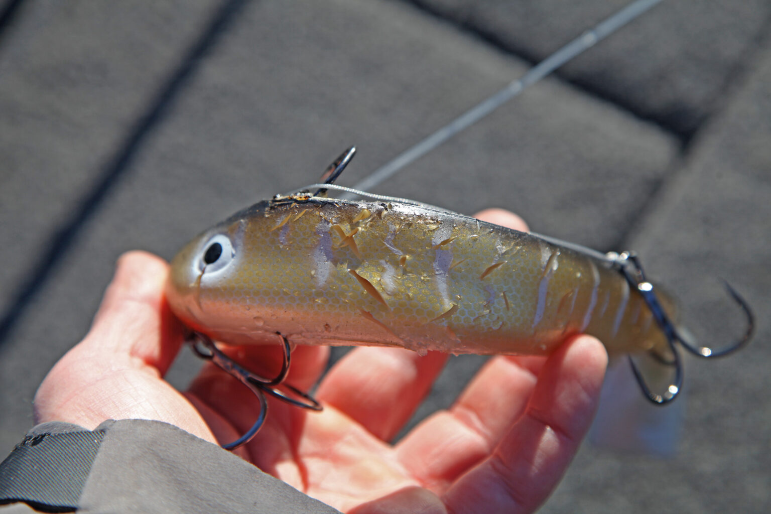 Fiska gädda på våren - Svenskt Fiske